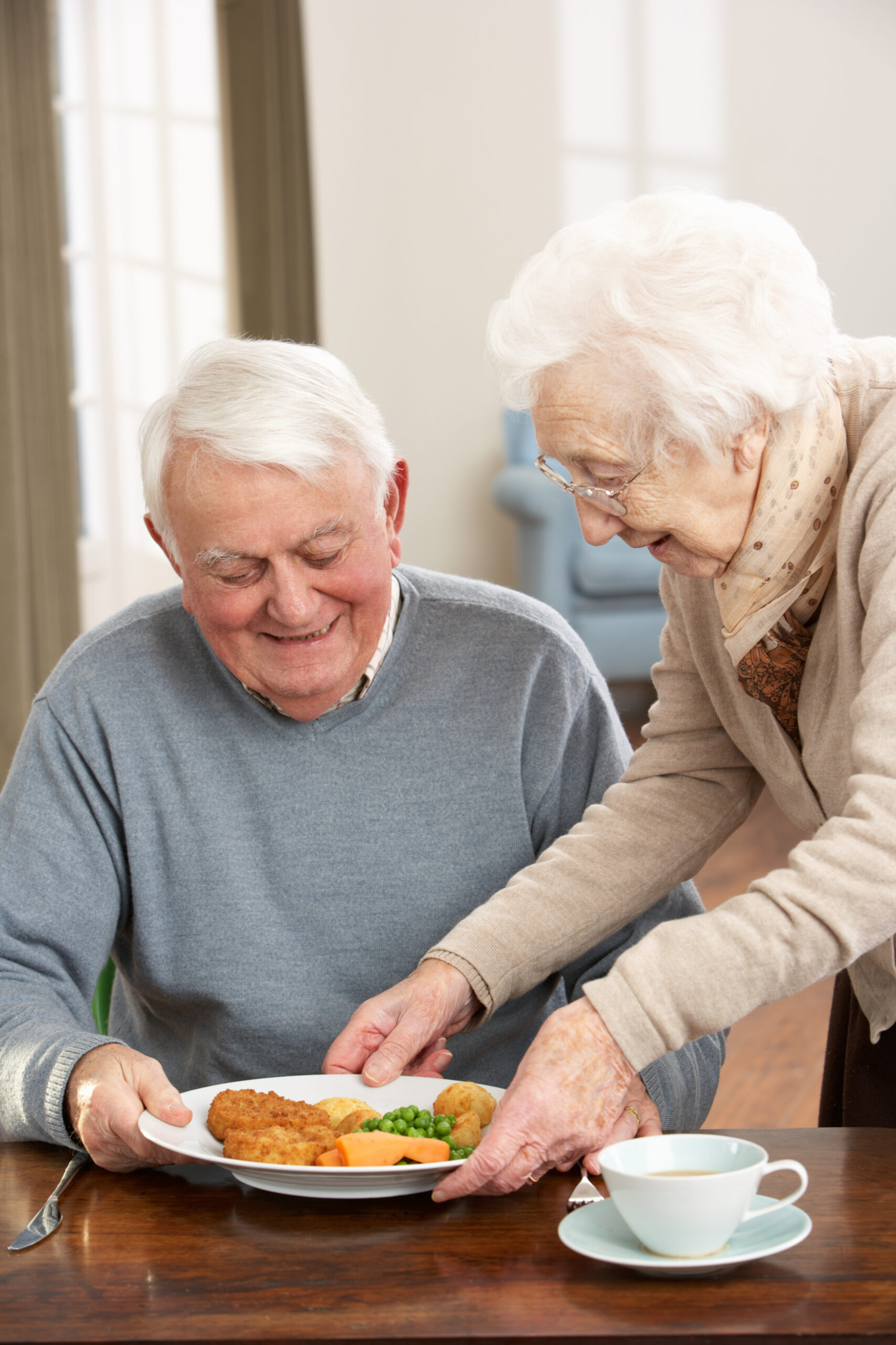 Home Delivered Meals - Blueprints - Break Barriers, Build Futures